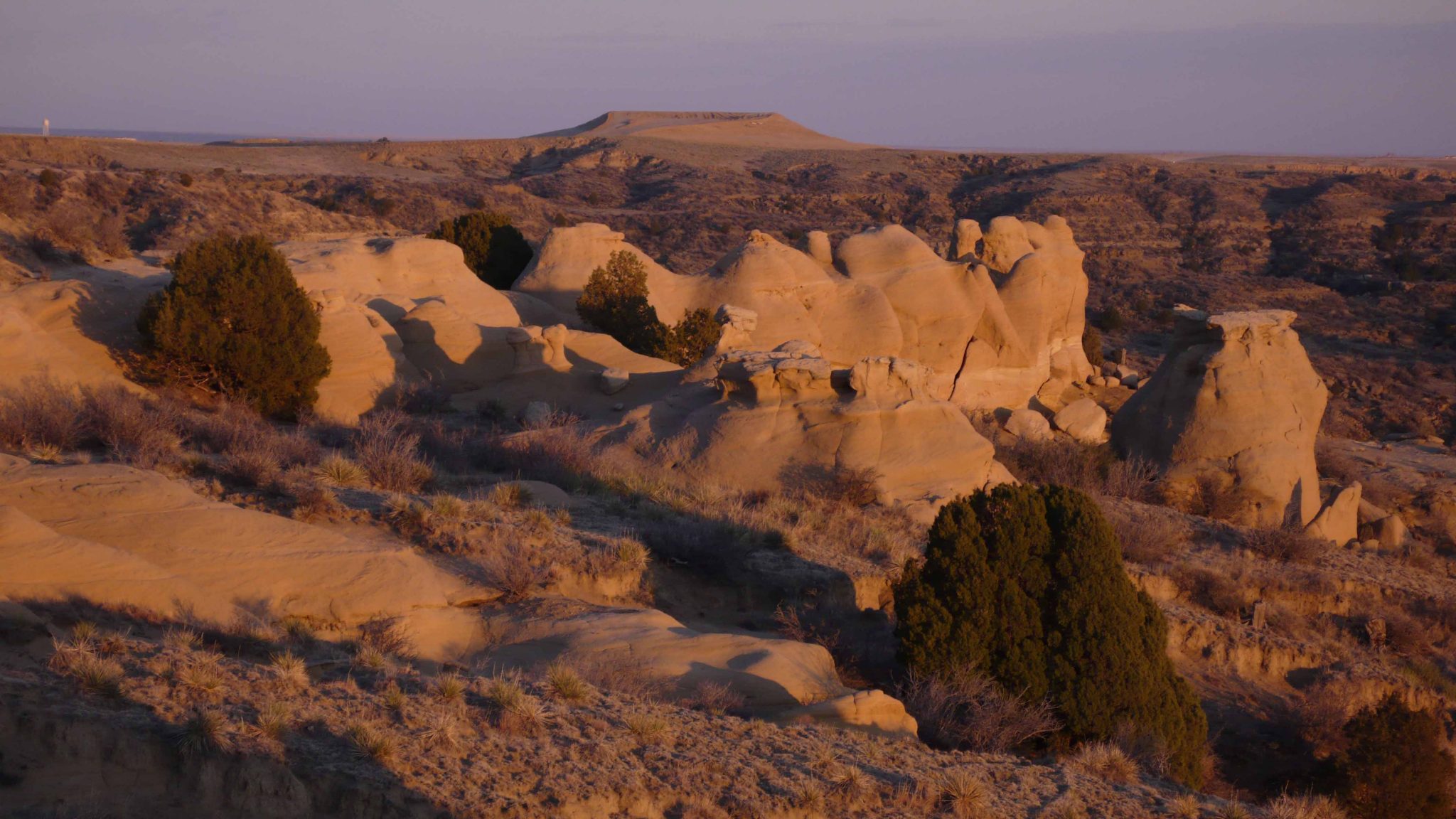 Corral Bluffs Open Space - TOSC